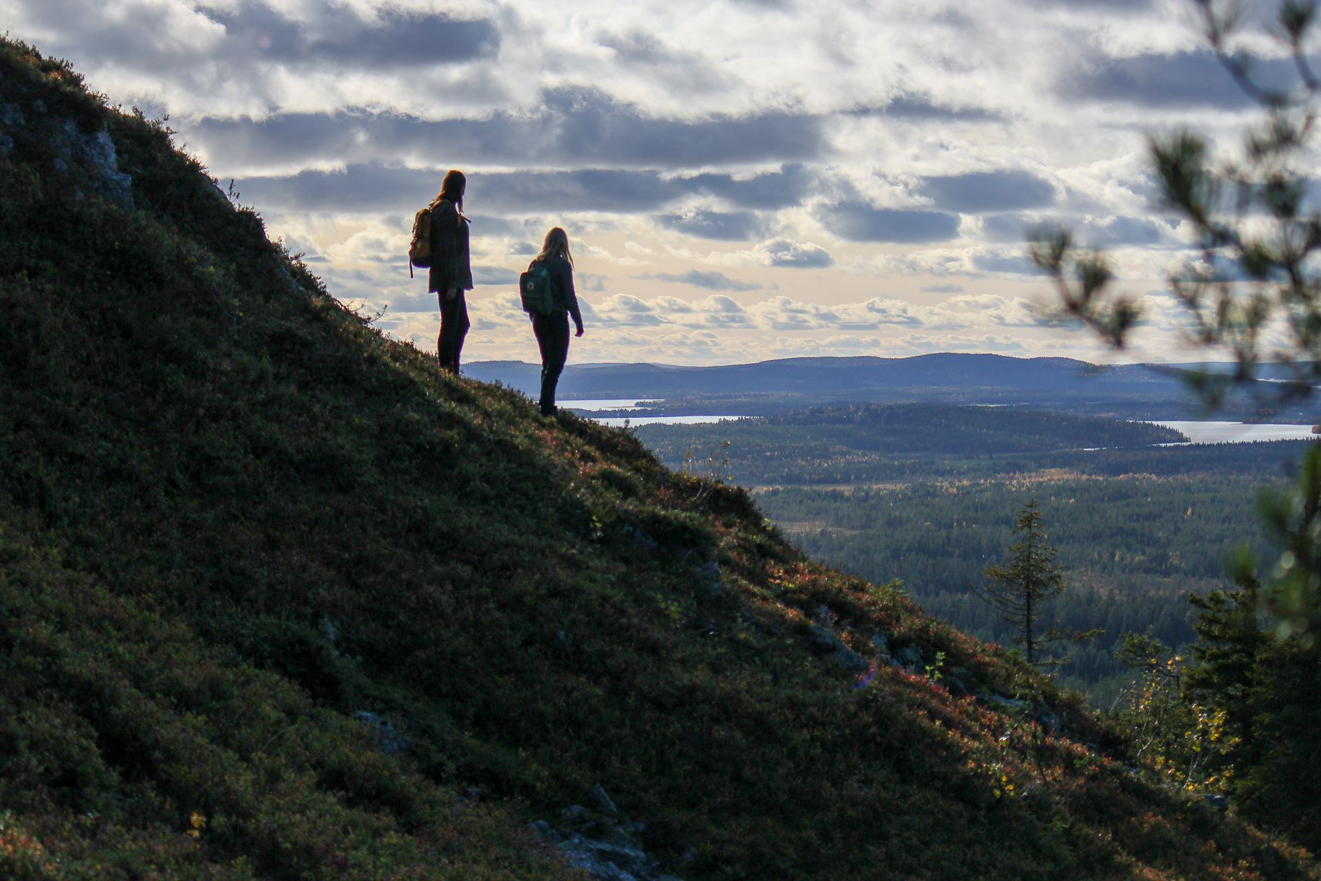 Ruotsin ex-puolustusministeri Peter Hultqvist Rajafoorumin 2025 puhujaksi - Kuusamo